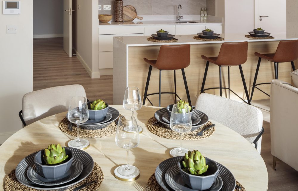 One Springfield Park - SIR Projects