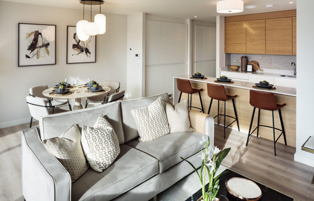 One Springfield Park - SIR Projects