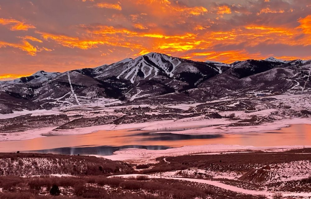 Marcella - SIR Projects