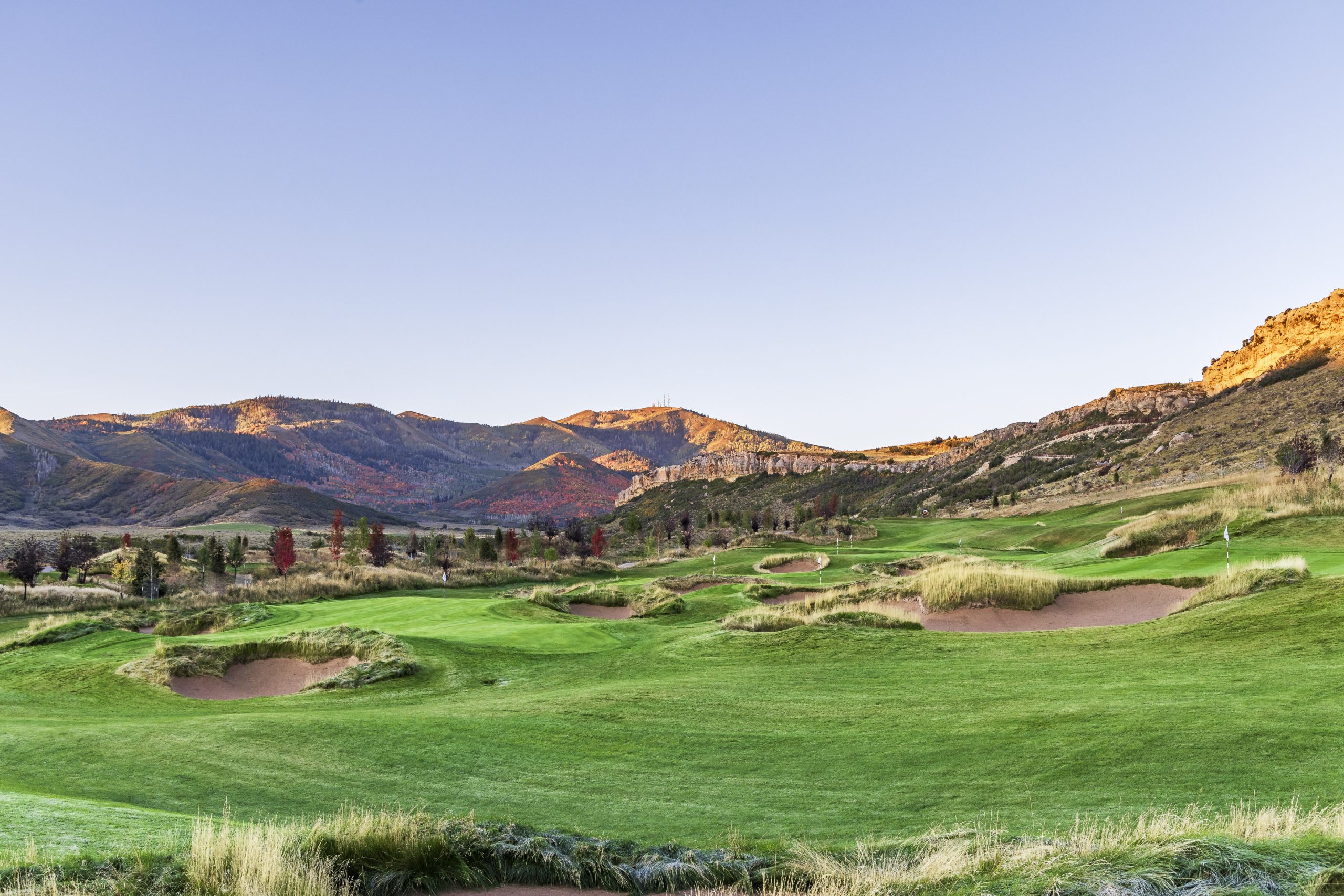 Wohali - SIR Projects