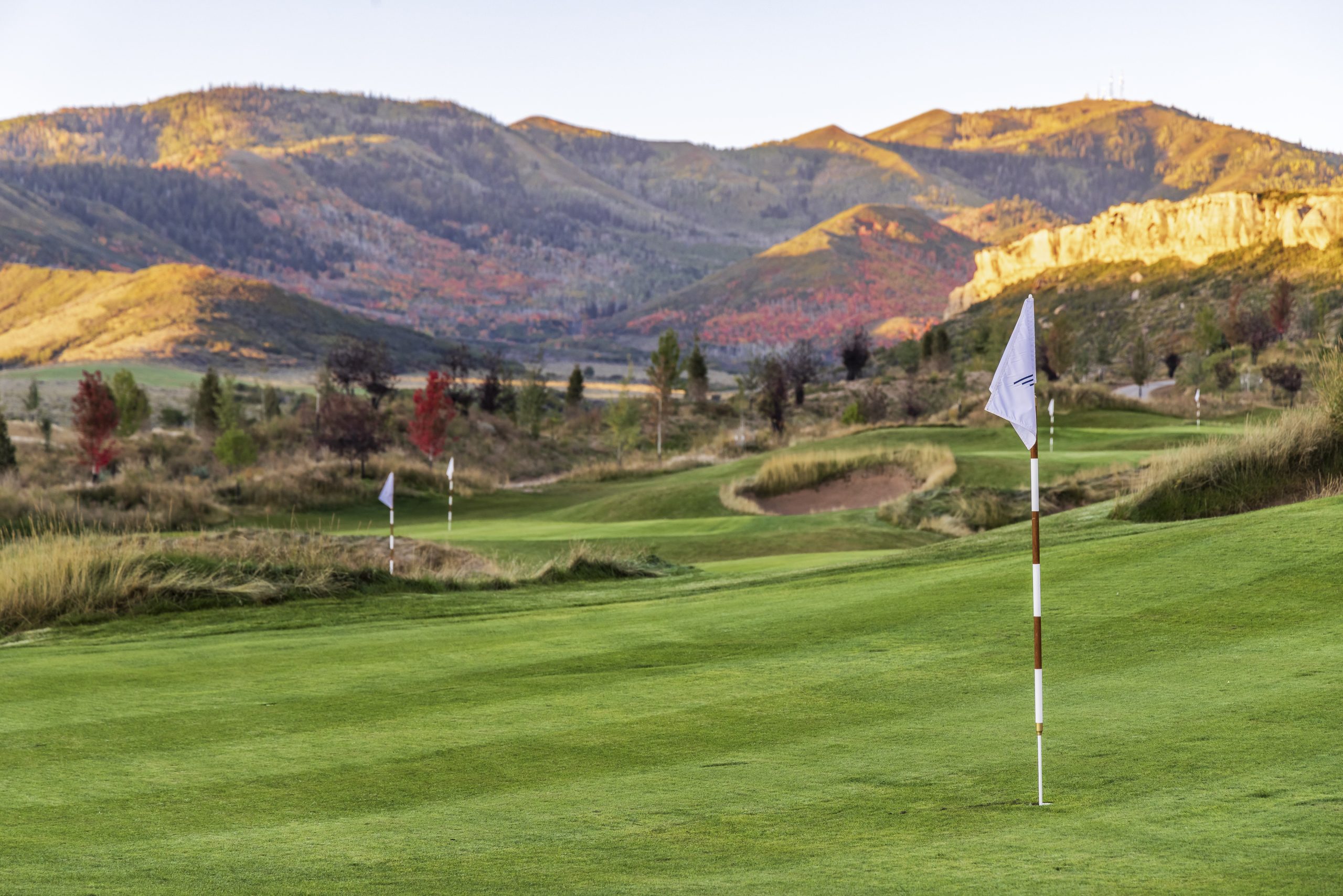 Wohali - SIR Projects