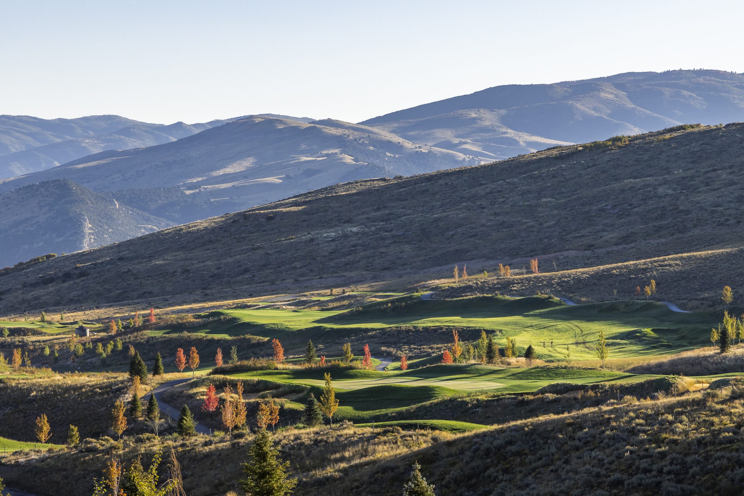 Wohali - SIR Projects