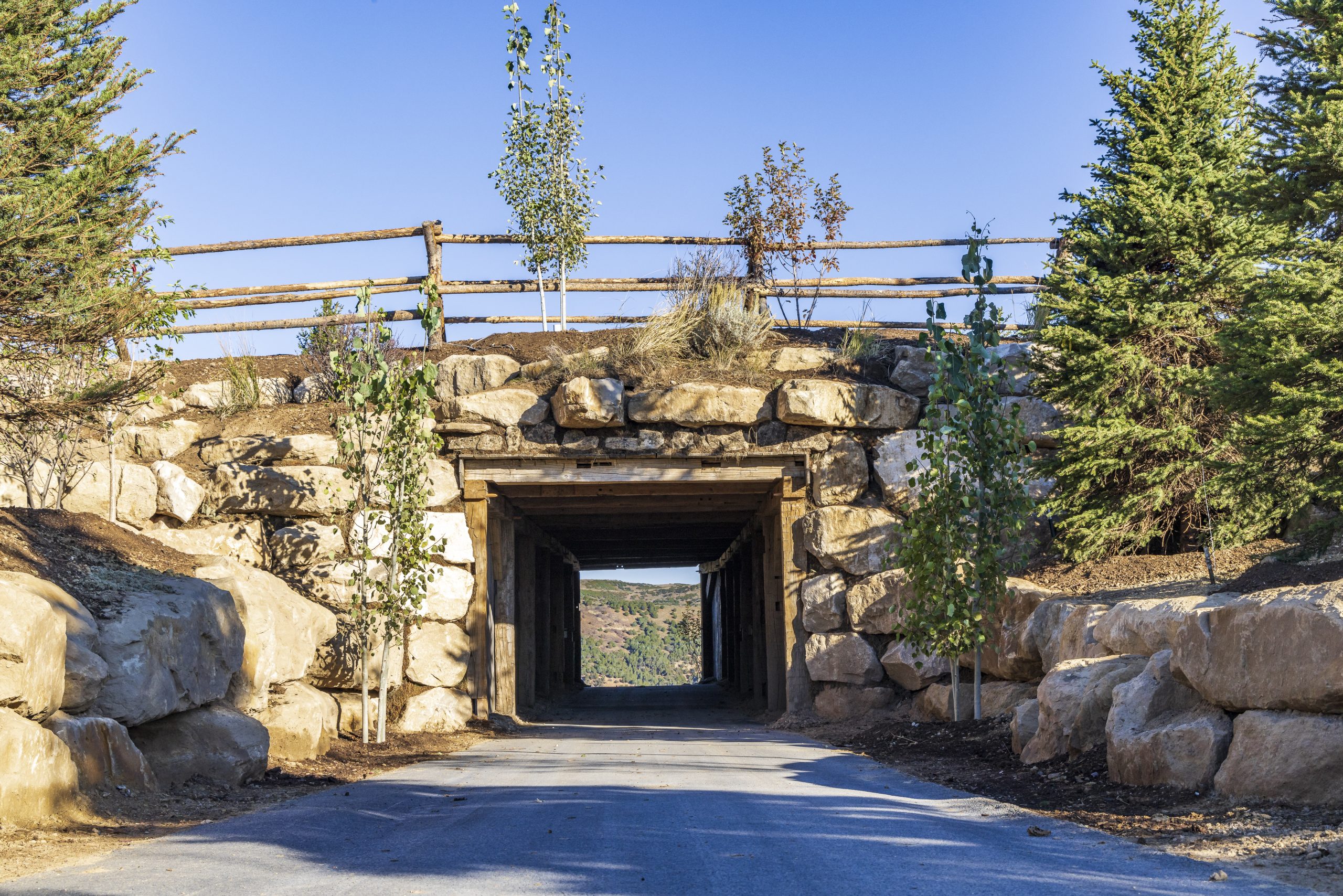 Wohali - SIR Projects