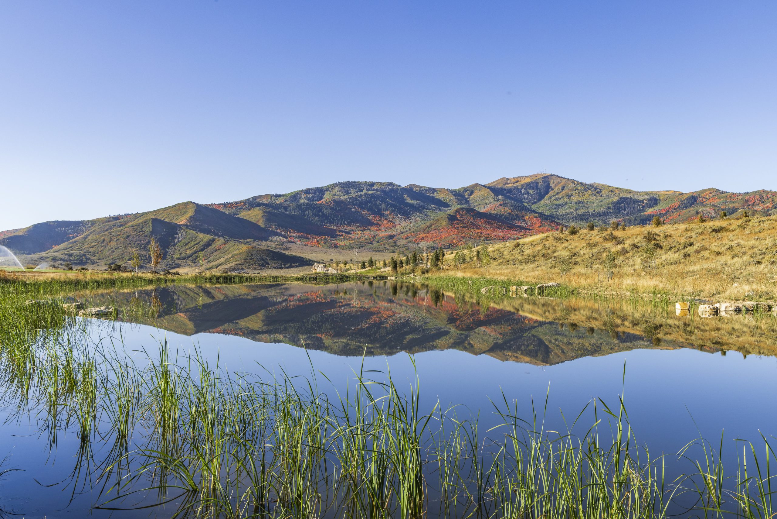 Wohali - SIR Projects