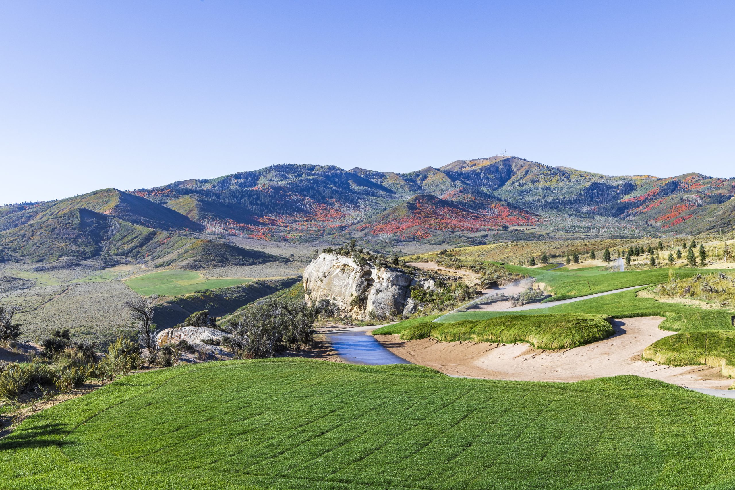 Wohali - SIR Projects