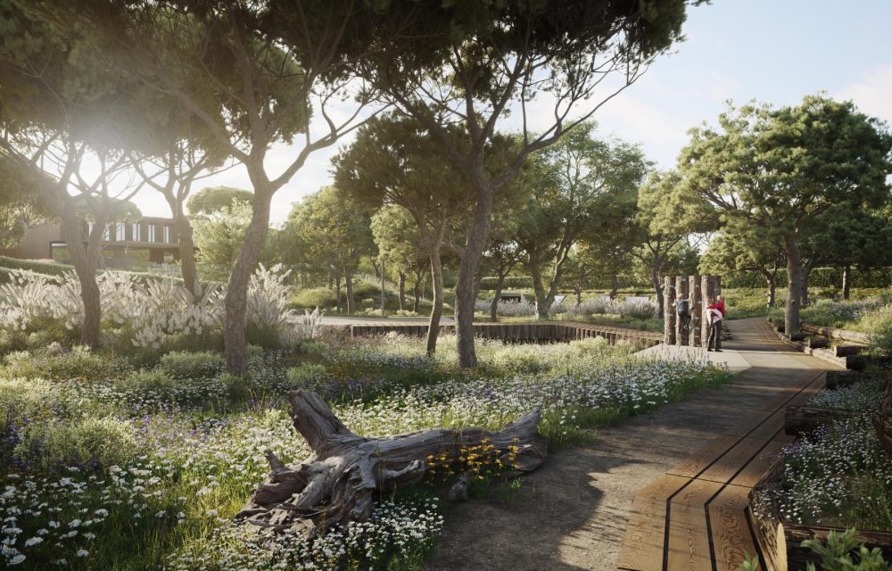 Arcaya - SIR Projects