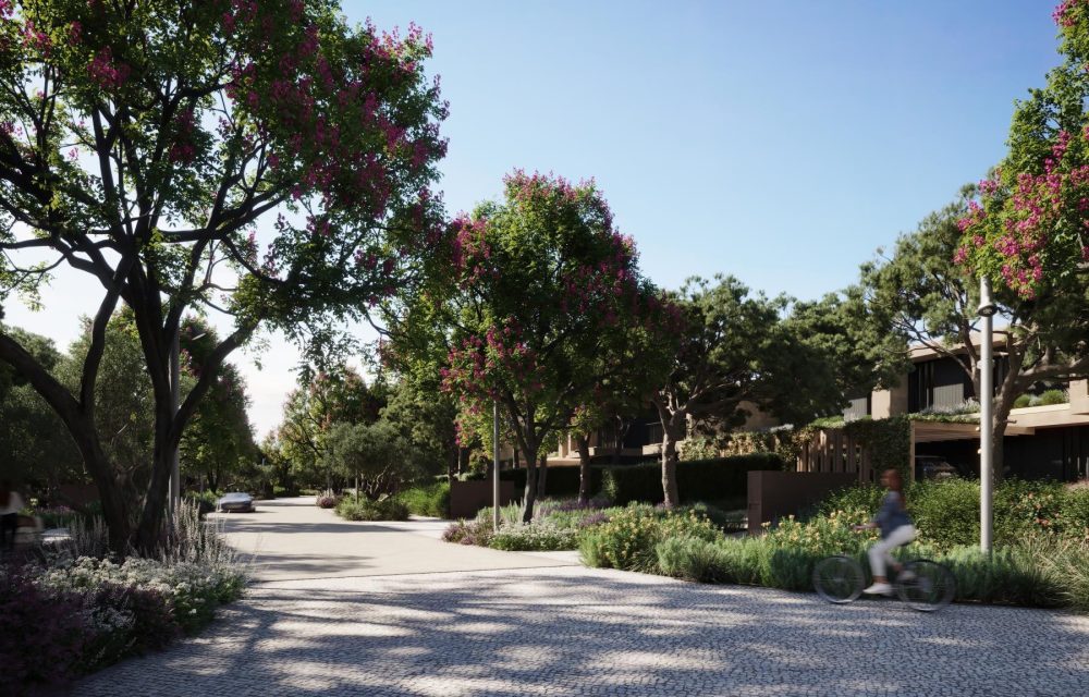 Arcaya - SIR Projects