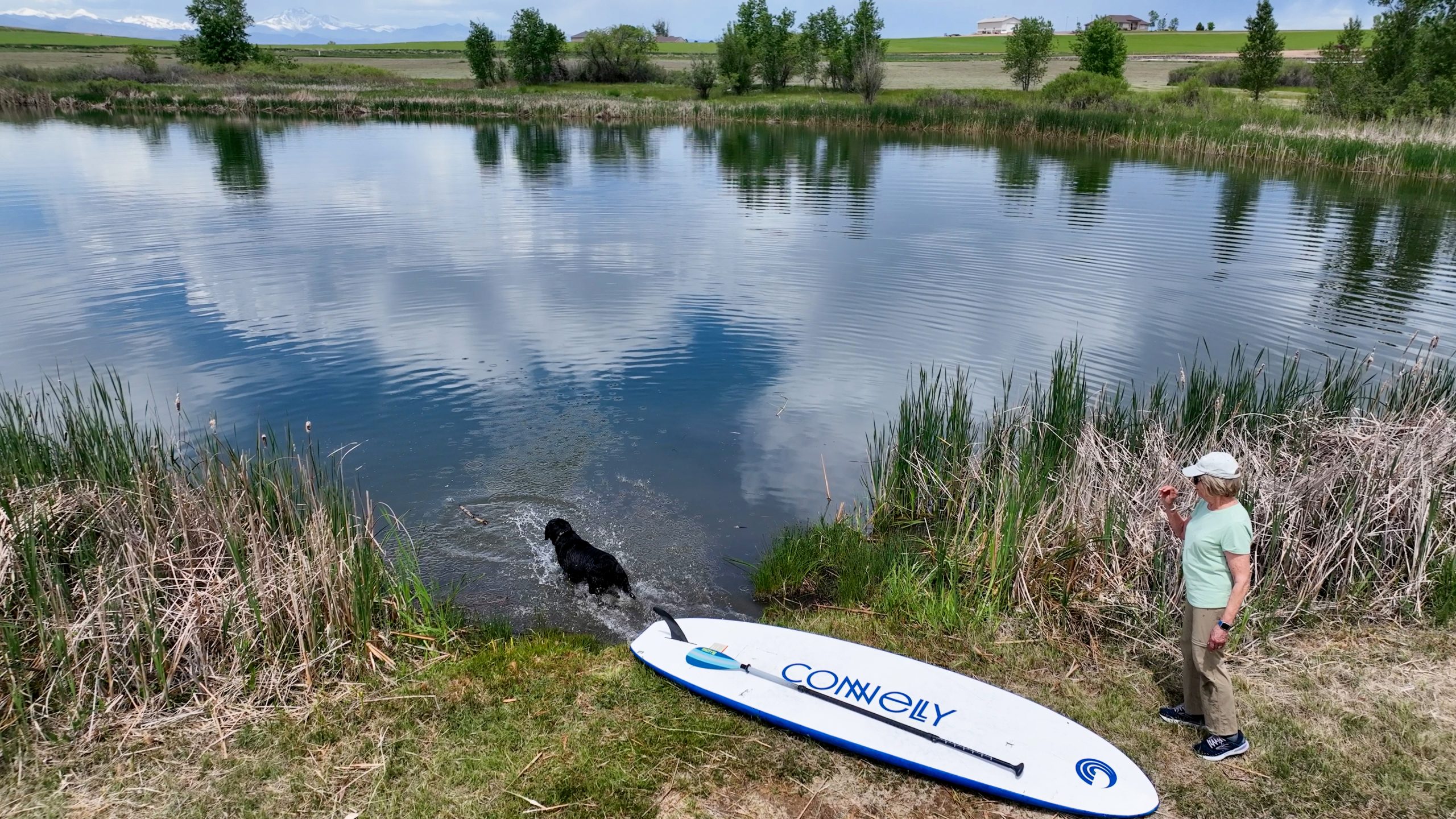 Nelson Lakes - SIR Projects