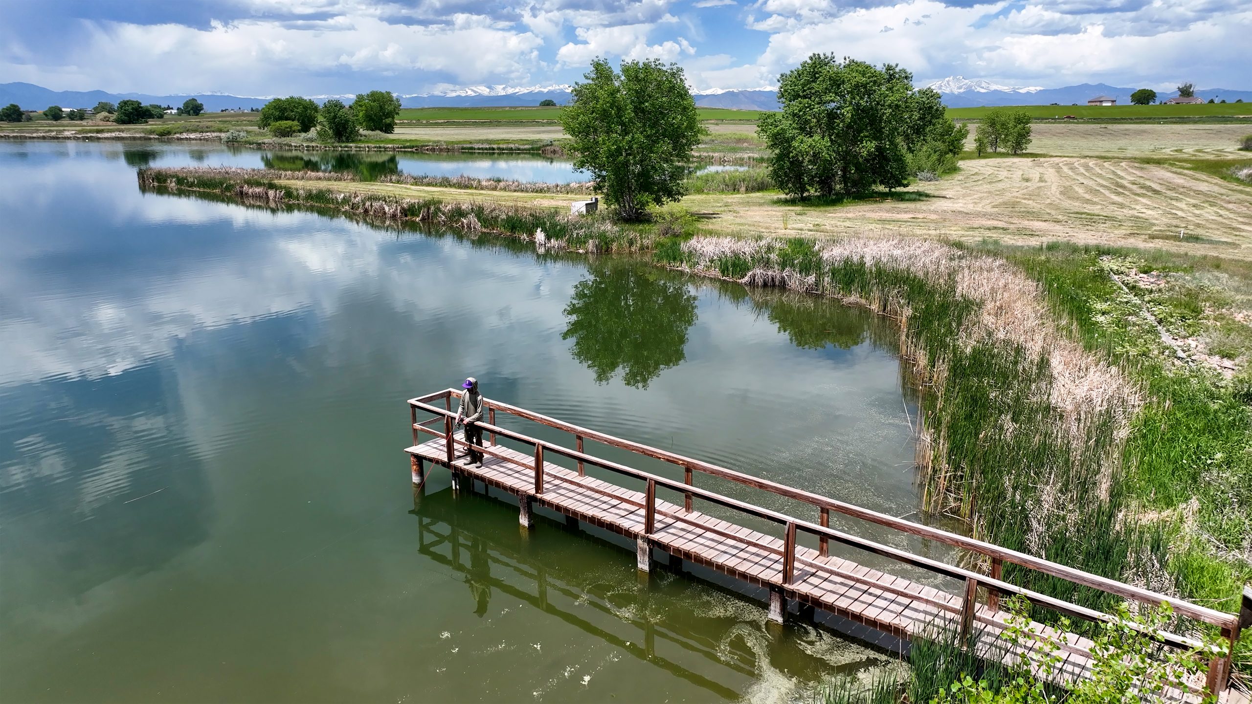 Nelson Lakes - SIR Projects