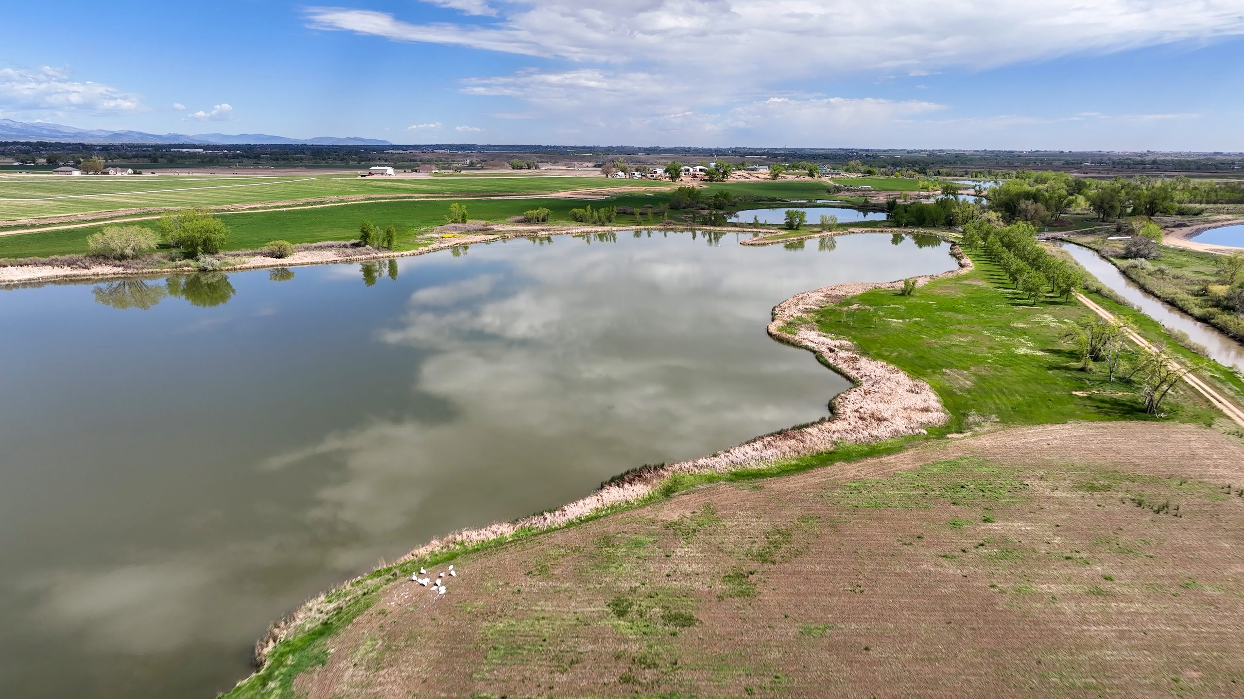 Nelson Lakes - SIR Projects