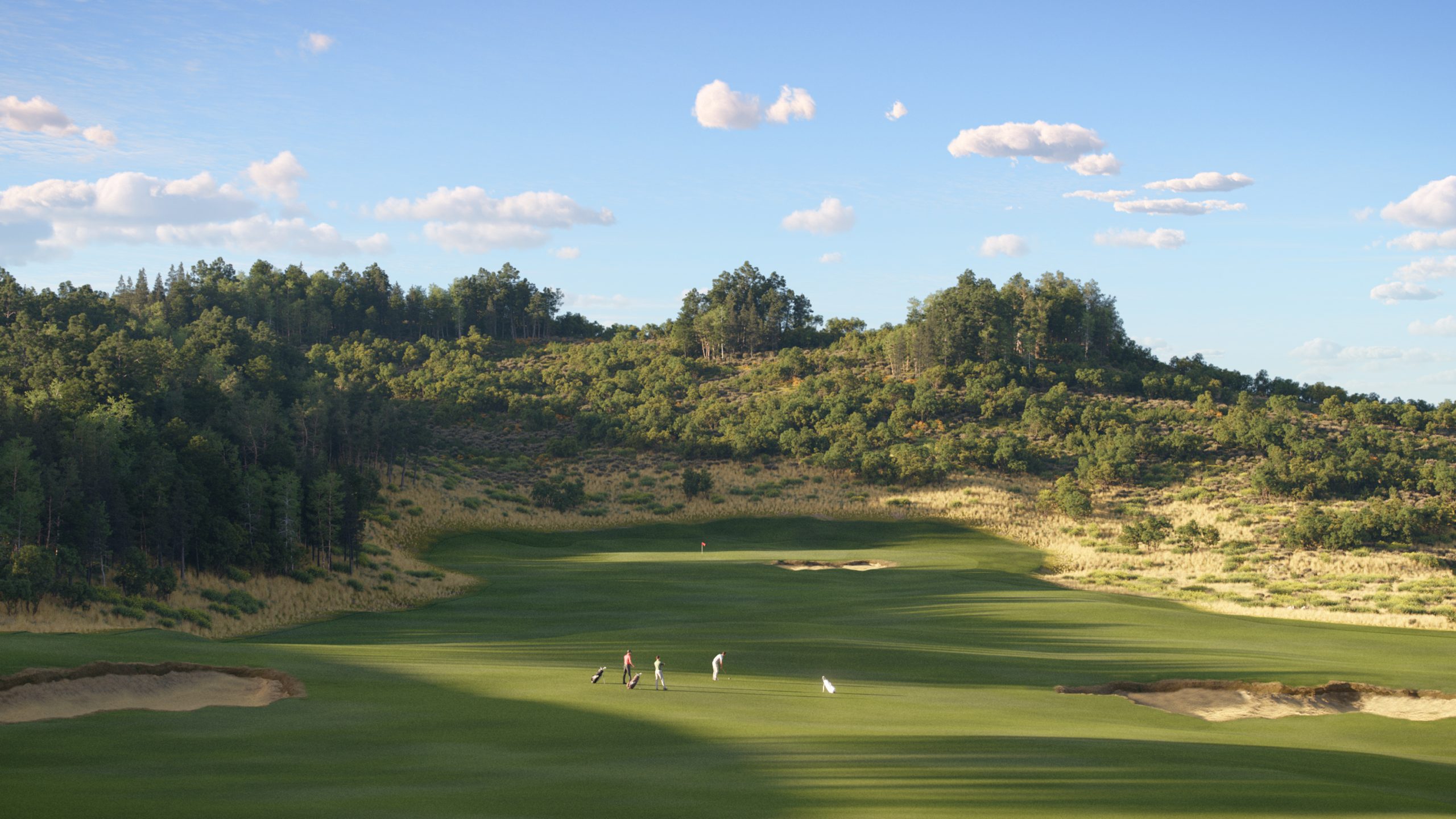 Marcella - SIR Projects